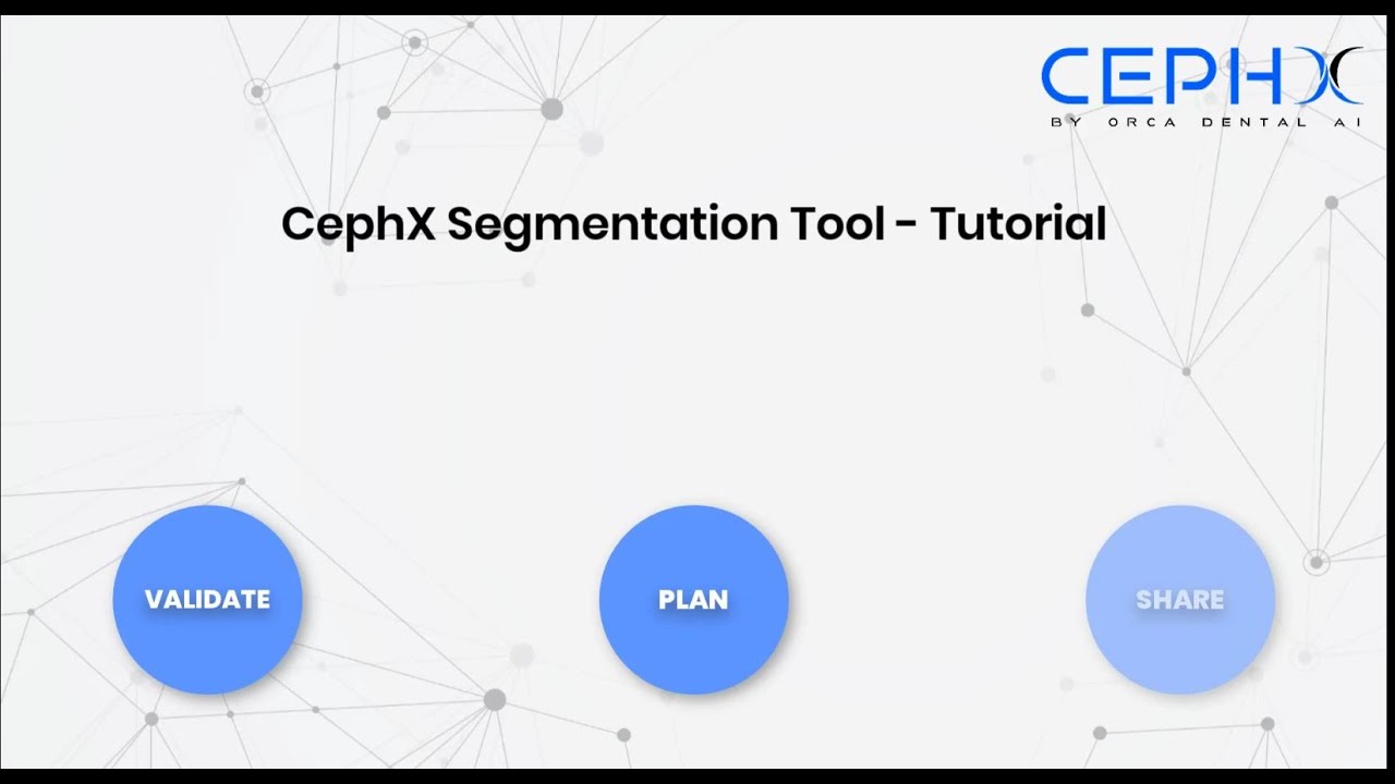 Segmentation Viewer - Full Tutorial