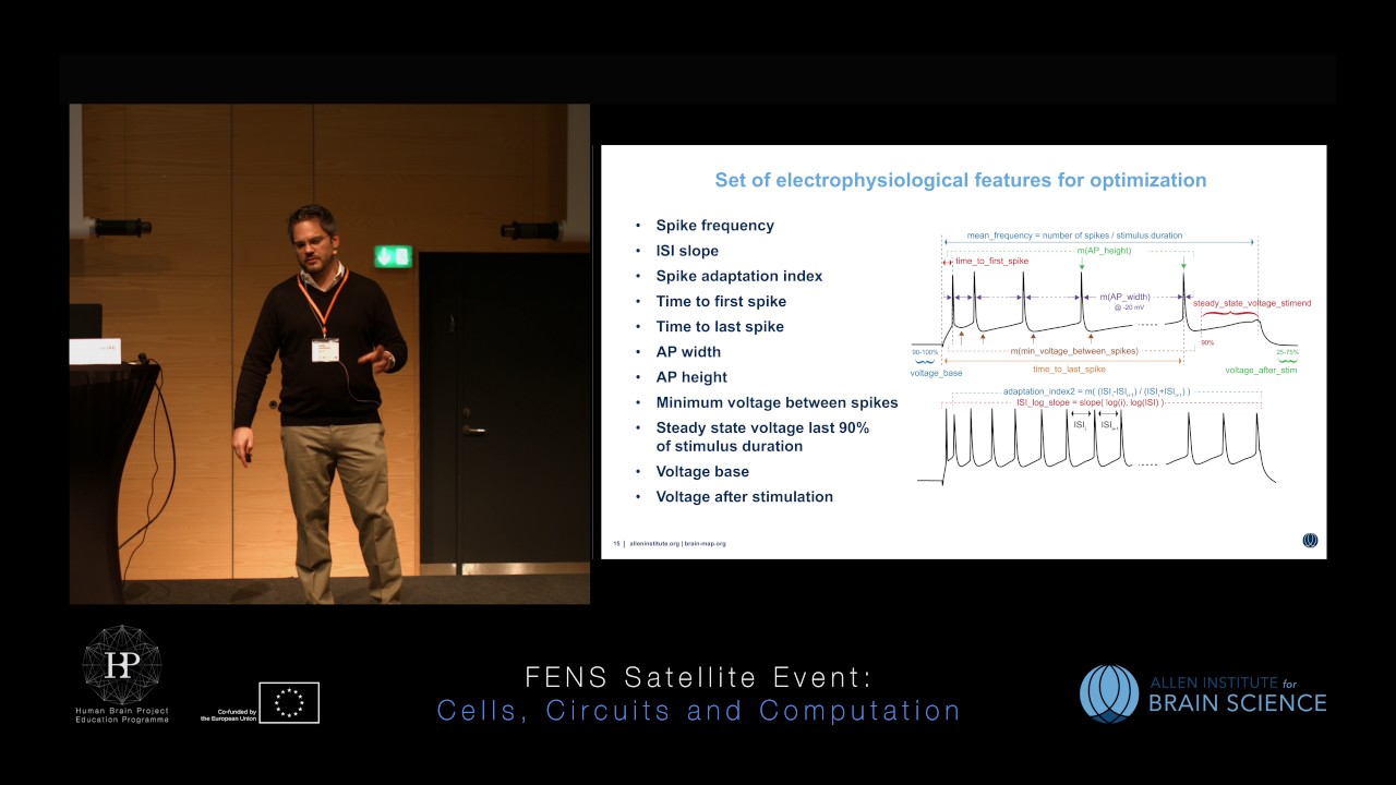 Anastassiou Costas  - Cell Types: Electrophysiology, Morphology and Modeling
