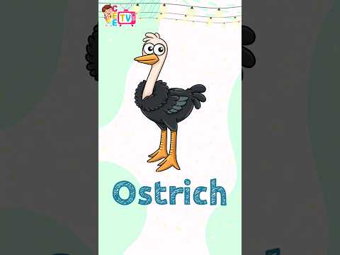 Words that start with letter Oo #englishvocabulary #englishvocabularyforbeginners