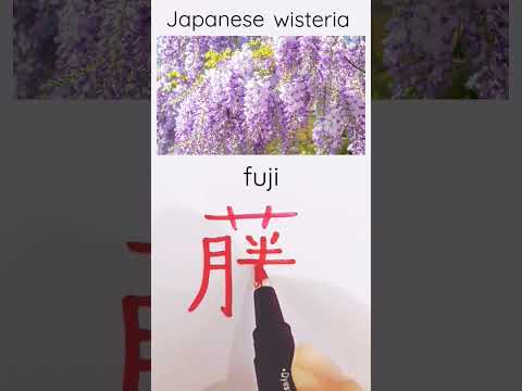 How to write Japanese wisteria #shortsvideo #shorts