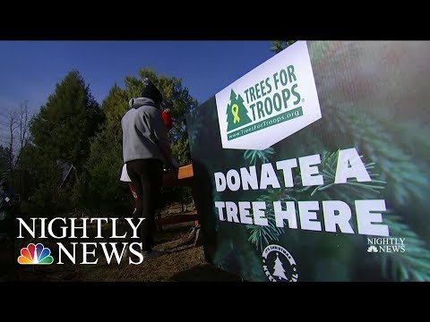 Trees For Troops Ships Christmas Cheer To Those Who Serve Around The World | NBC News