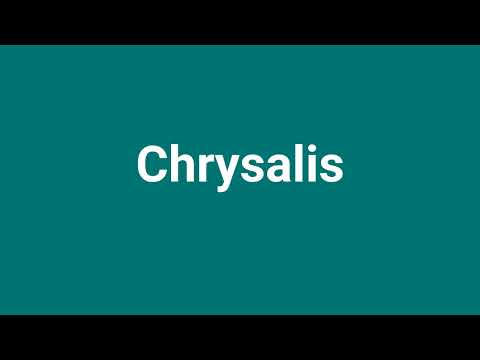 'Chrysalis' Meaning and Pronunciation