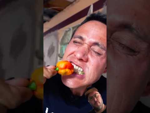 How do you know if it’s 🌶️🔥TOO HOT? Ask Mark Wiens. #shorts #spicy #food