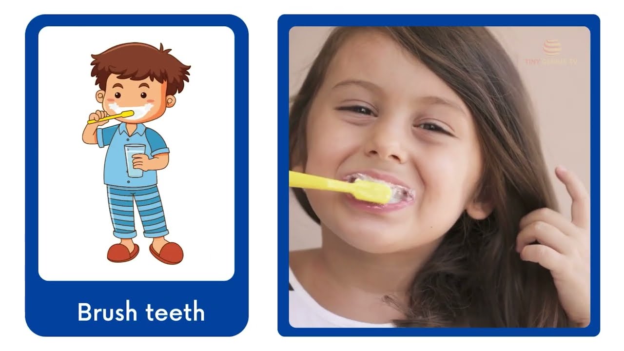 Flashcards For Daily Routines | #TinyGeniusTV l Kids Fun Learning Video