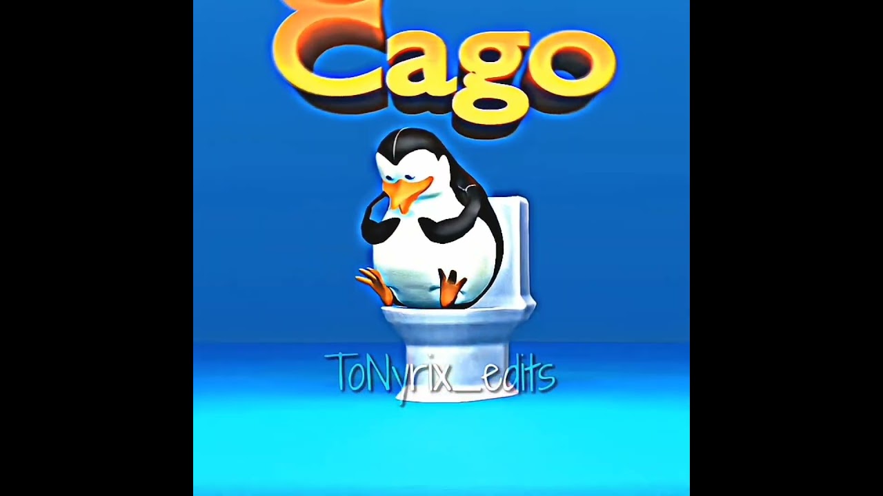 Los pingüinos me la van a mascar xd #shorts #viralvideo #viral