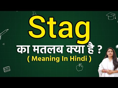 Stag meaning in hindi | Stag ka matlab kya hota hai | Word meaning
