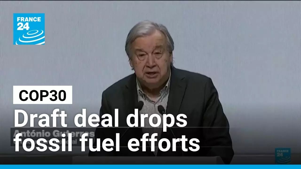 Draft COP30 deal drops effort for fossil fuel transition agreement • FRANCE 24 English