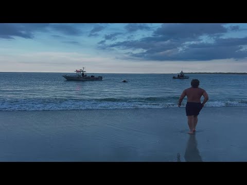 Multiple Agencies Rescue Distressed Swimmer in St. Augustine Inlet ...