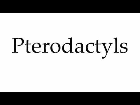 How to Pronounce Pterodactyls