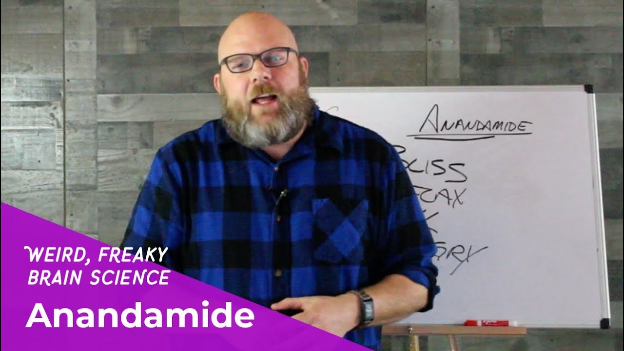 Weird, Freaky Brain Science Anandamide