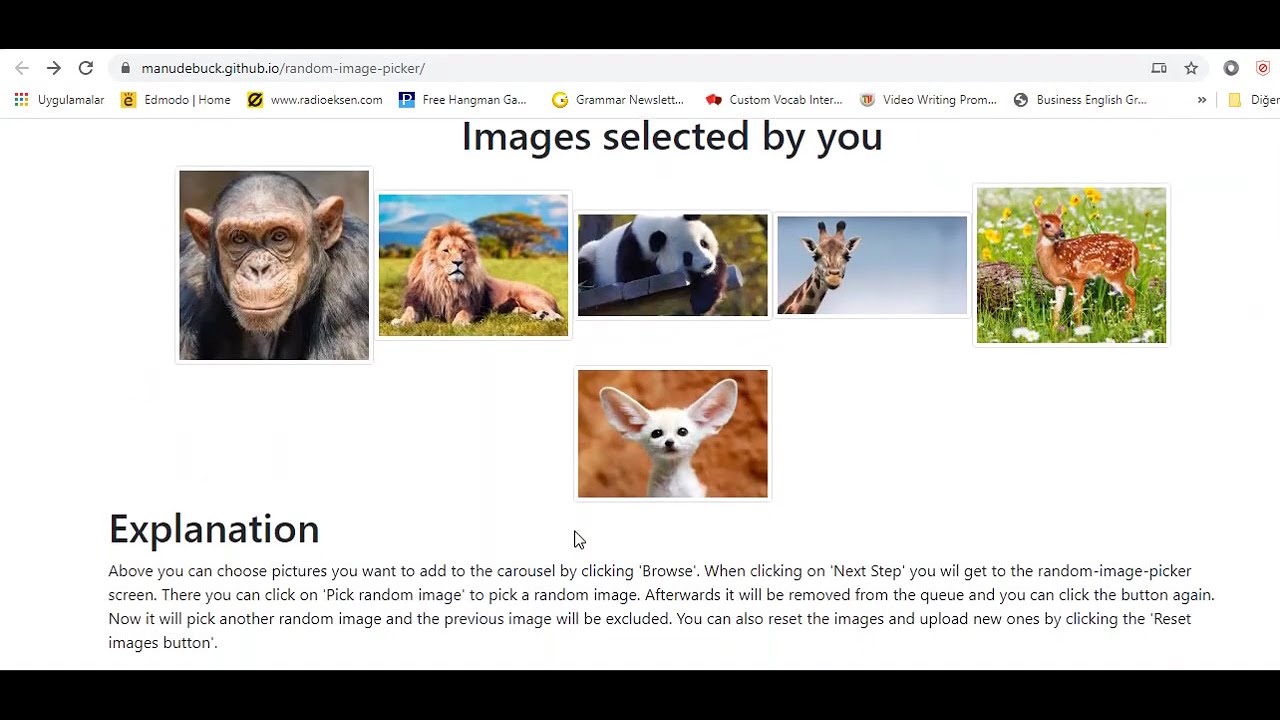 Random Image Picker  -  Rastgele Resim Seçme Aracı