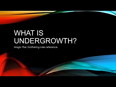 What is Undergrowth?