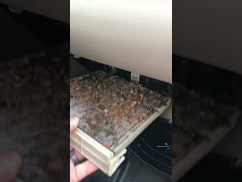 What’s a cabin air filter?