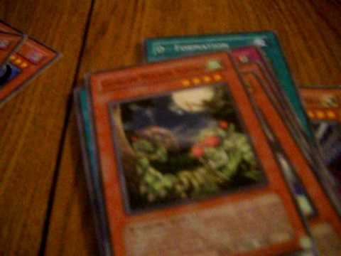 Honest Twilight Edition Box: Cards