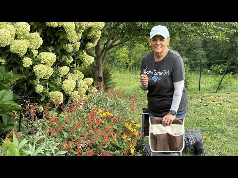 Garden Stool ➕ Kneeler ➕ Discount for YOU! I didn’t realize I need this but I do! 👍🏼