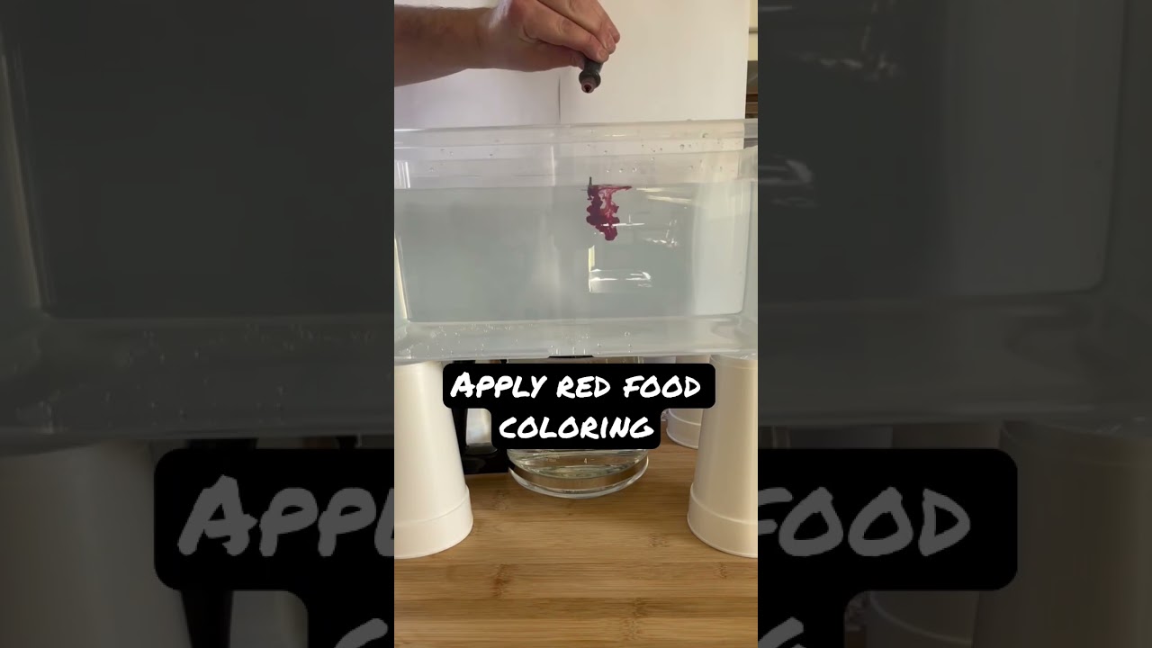 Make A Thunderstorm At Home! #science #experiment #diy #athome #weather #education #thunderstorm