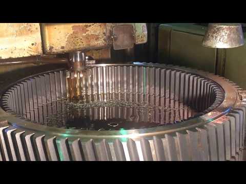 Internal Gear at Best Price in India