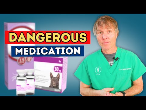Veterinary Painkiller Linked to Dangerous Side Effects!
