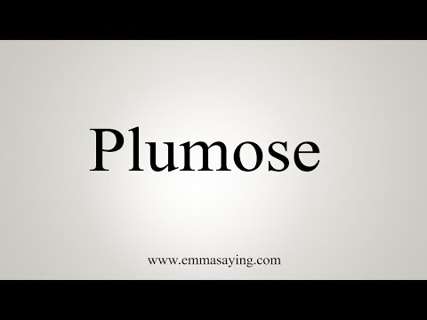 How To Say Plumose