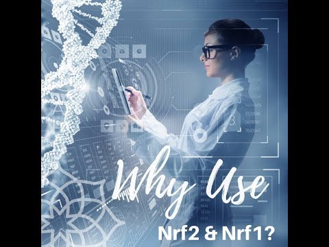 Why Use Nrf1 and Nrf2?