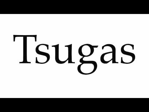 How to Pronounce Tsugas