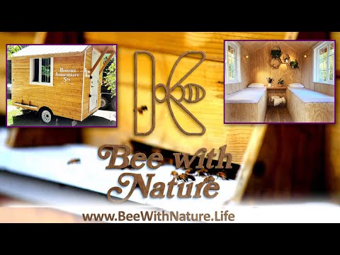🐝 Bee Hut Therapy: Unlock Nature's Healing Power for Stress Relief & Mind-Body Harmony! 🌿
