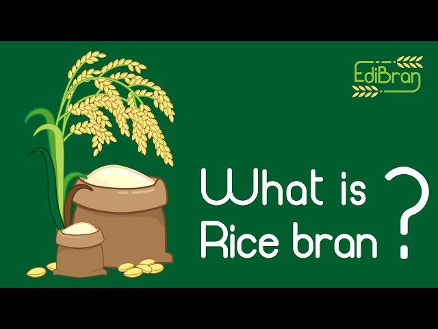 Raw Material - Rice Bran For Cattle,Poultry Manufacturer from Pune