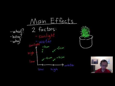 Main Effects Explained