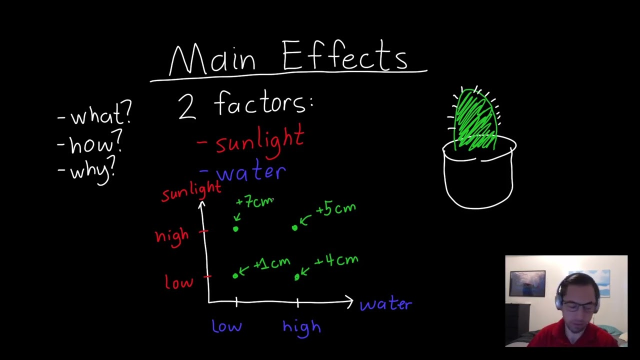 Main Effects Explained