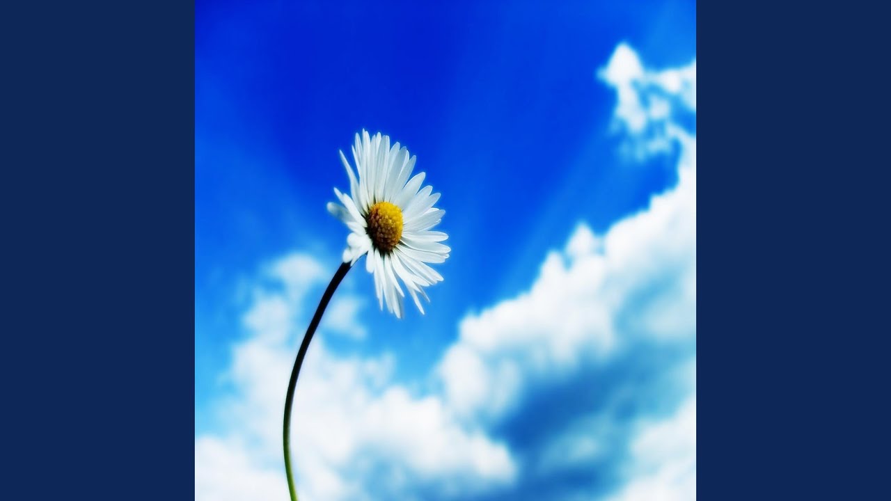 Daisy's Dance