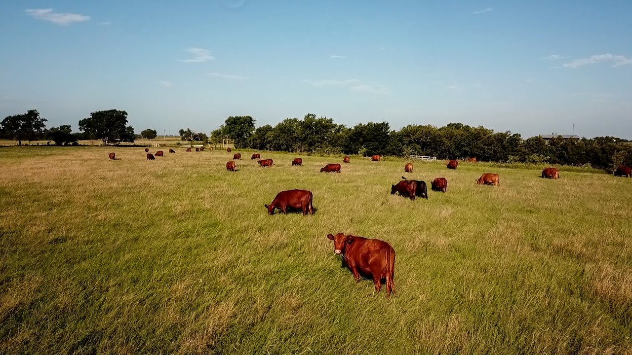 Society for Range Management