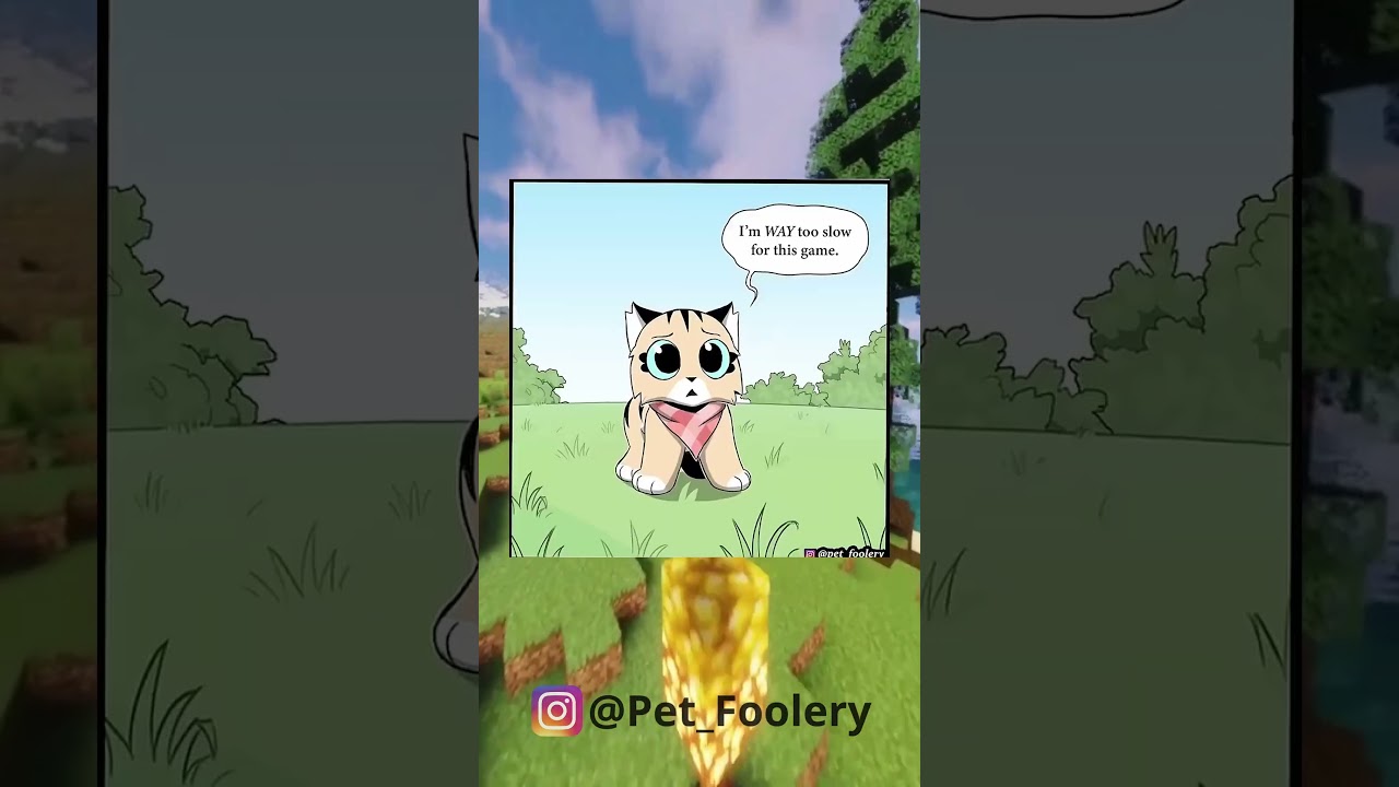 Tag Pixie and Brutus