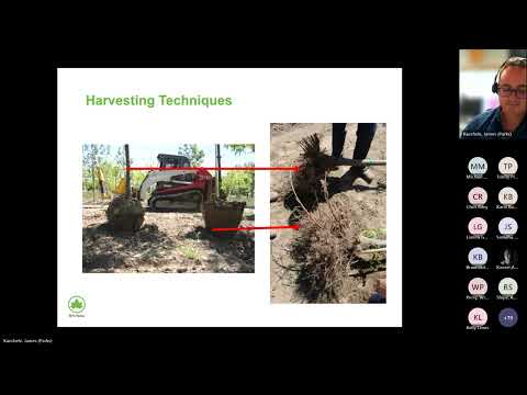 11 - Growing Partnerships for Urban Forest Resilience