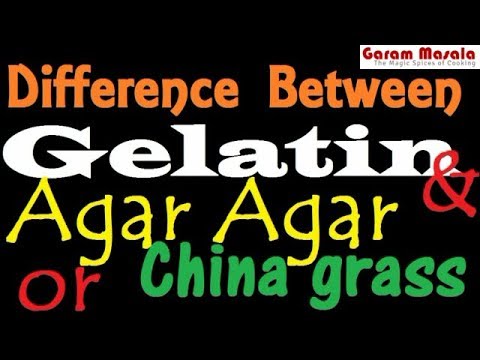 ചൈനാ ഗ്രാസും ജലാറ്റിനും തമ്മിലുള്ള വ്യത്യാസം Difference Between Gelatin & Agar Agar / China grass