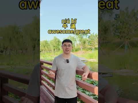 Common mandarin swear words(2): niú bī #freemandarinchinese#learnchinesefast #mandarin