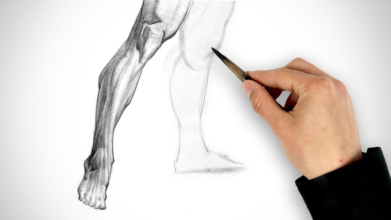 Sketching and Shading the Lower Leg - Anterolateral Assignment