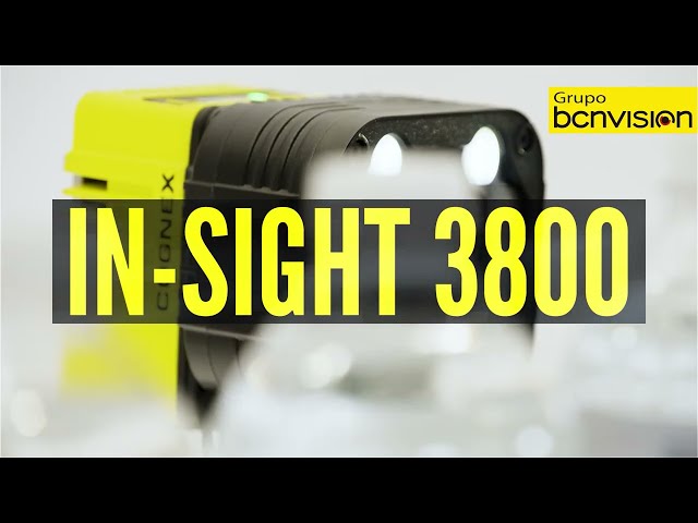 Vision Sensor - Cognex Insight 3800 Series Service Provider from Ahmedabad