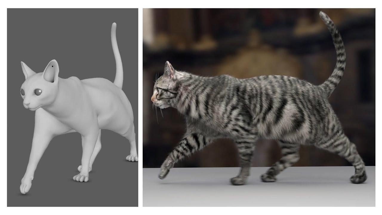 Cat Walk Cycle Test