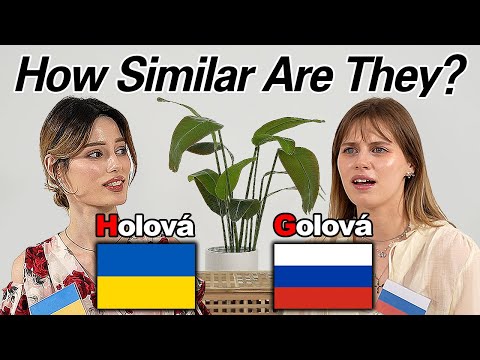 Can Ukrainians and Russians Really Understand Each Other?