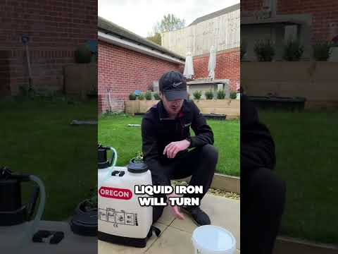 Use Liquid Iron to Green Up Your Lawn and Kill Moss #lawn #gardening #lawntips #iron
