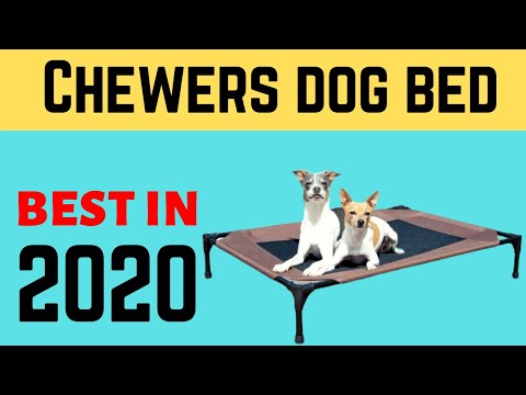 Durable Best Dog Bed For Chewers in 2020 | Chew Proof Dog Beds.