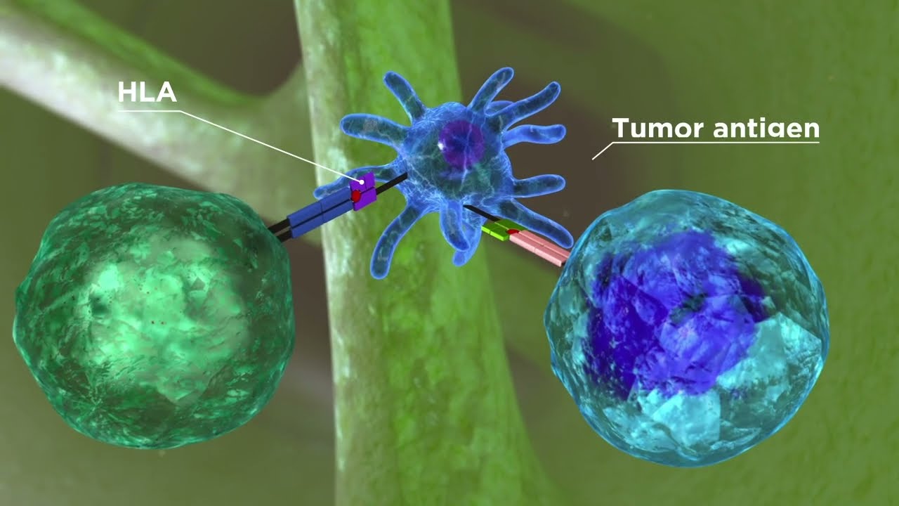 Sci Ani – Science Animated – Your research brought to life