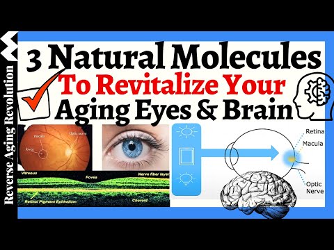3 Natural Molecules To Revitalize YOUR AGING EYES & BRAIN!!