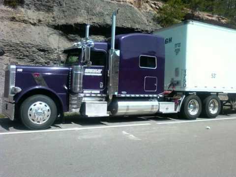 asphalt cowboy