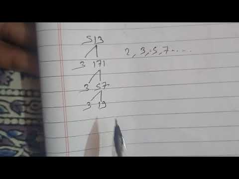 factor tree of 513 | prime factor tree |