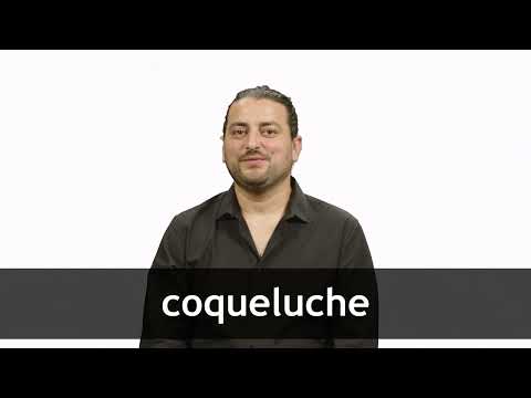 English Translation of “COQUELUCHE” | Collins French-English Dictionary
