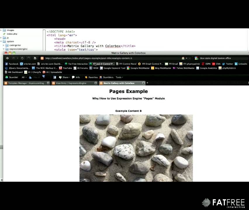 Explaining Expression Engine Pages Module | Quick-EE Tutorial