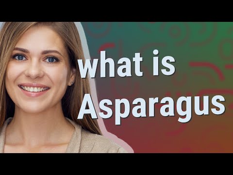 Asparagus | meaning of Asparagus