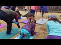 Goat Yoga Class - ATX Goat Yoga | Groupon