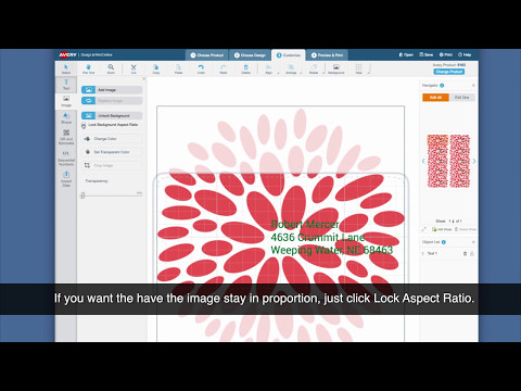 Avery design pro 5.5 setup.exe - pnaphotography